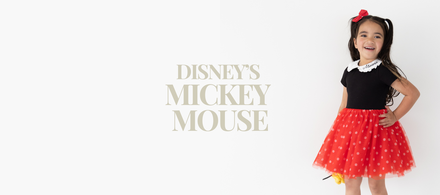 Disney's Mickey & Friends